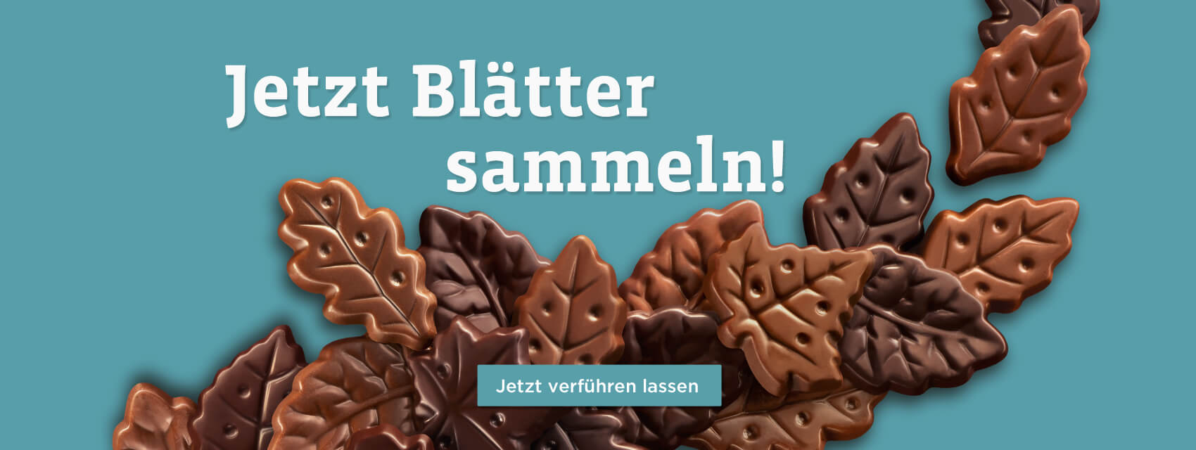 HACHEZ Chocoladen & Confiserie Pralinés